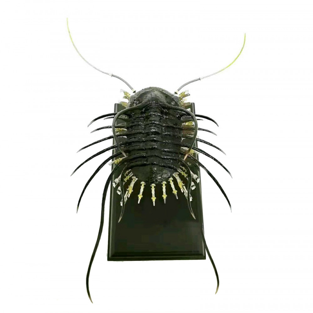 metal 3d steampunk trilobite bug assembled model kits sculpture crafts ...