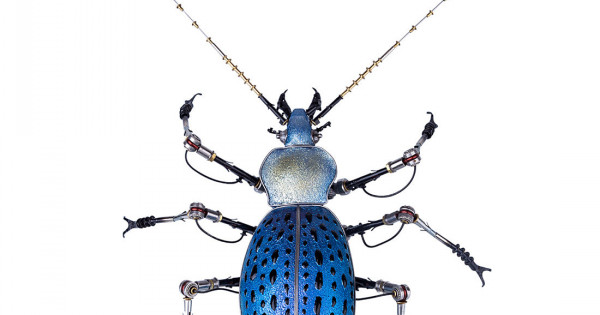 purple blue metal ground beetle steampunk assembled model kits 3d ...