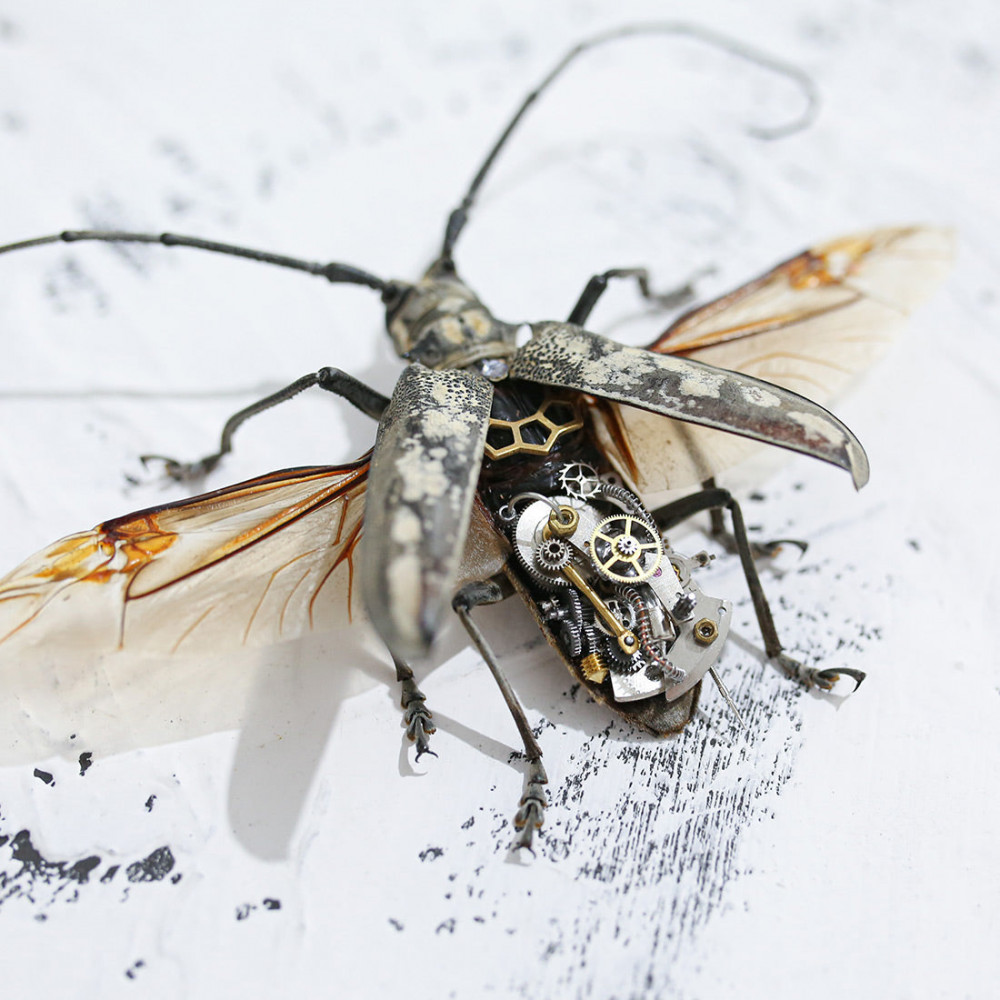 steampunk brown long-horned beetle batocera horsfieldi bug insect ...