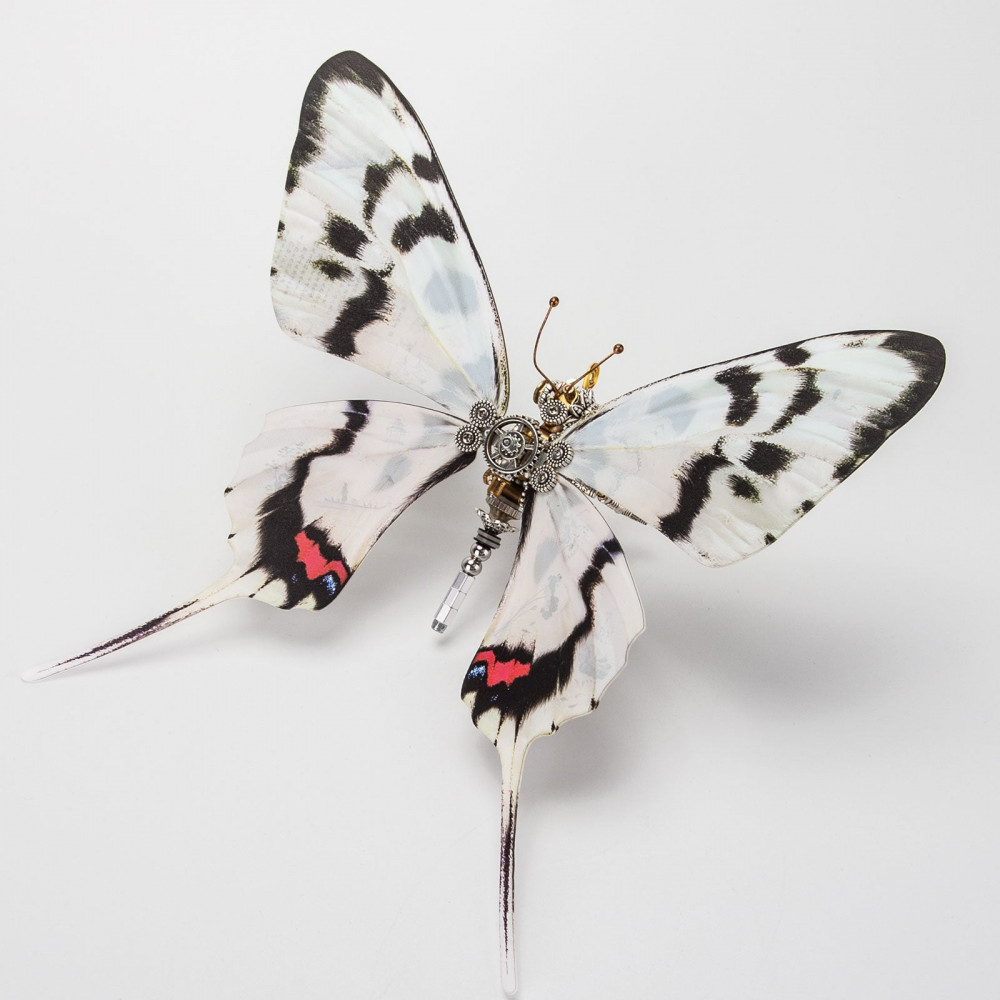 steampunk dragon swallowtail butterfly metal model kits with landscape ...