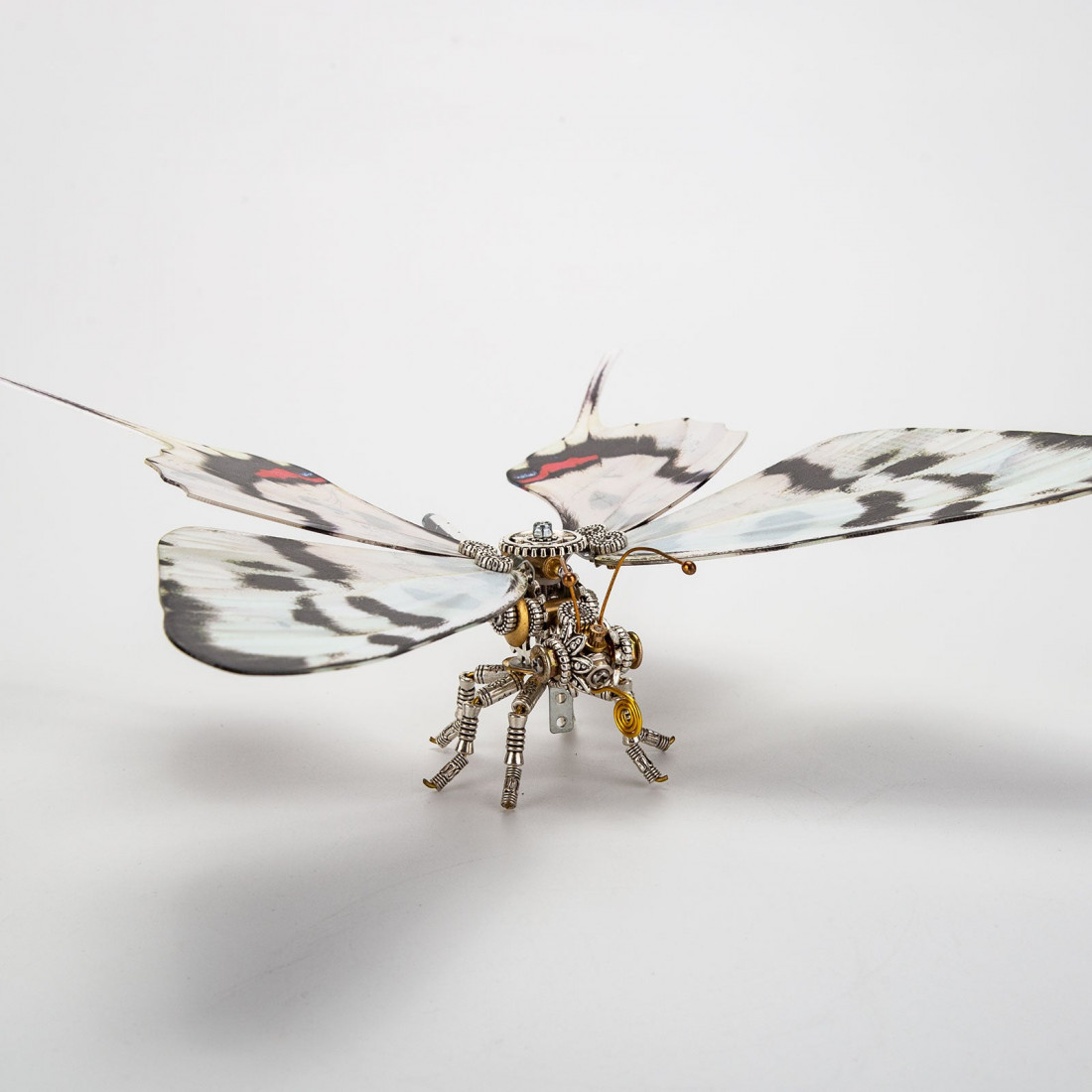 steampunk dragon swallowtail butterfly metal model kits with landscape ...