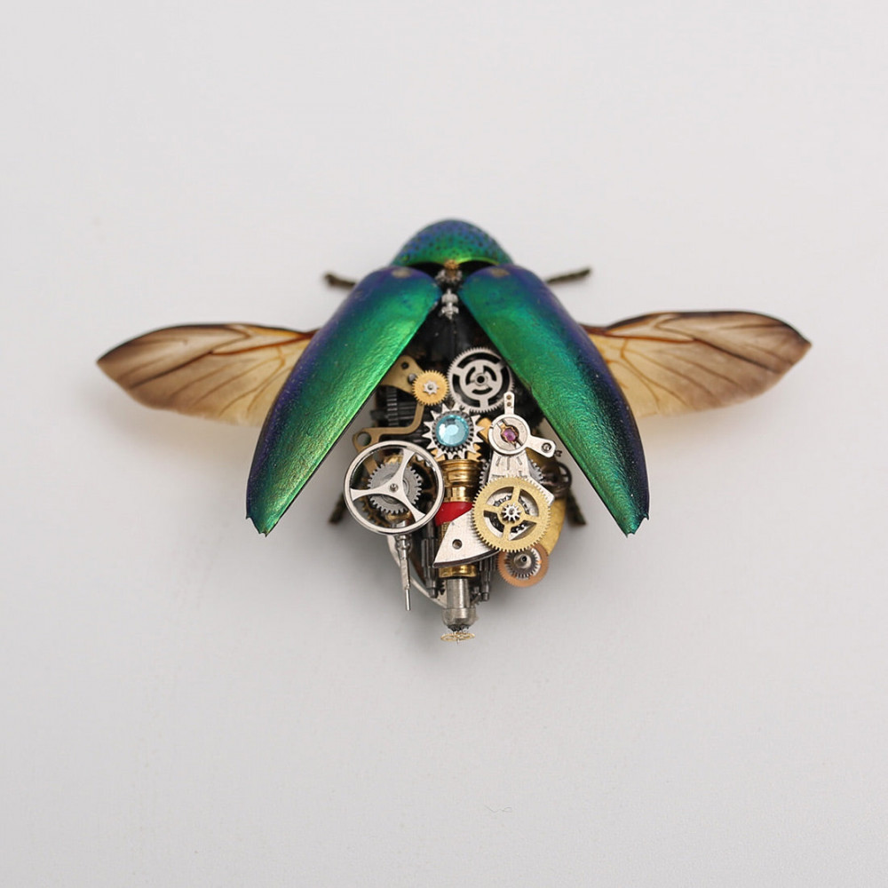 steampunk shiny green jewel beetle bug insect gothic model with frame ...